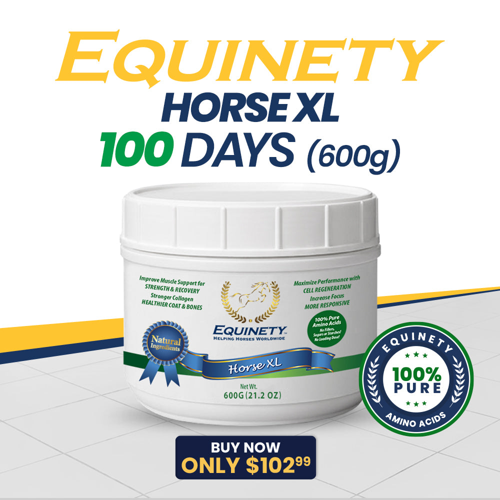Equinety Horse Products – EquinetyHorseProducts