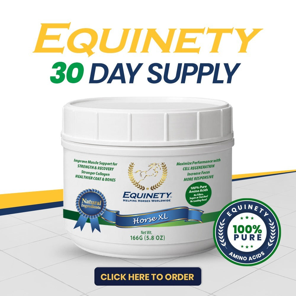 Equinety Horse XL 30 Day Supply – EquinetyHorseProducts